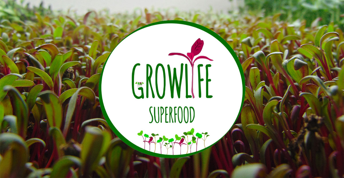 Da idea a impresa: grazie al progetto “NEETs IN ENTREPRENEURSHIP” nasce ...